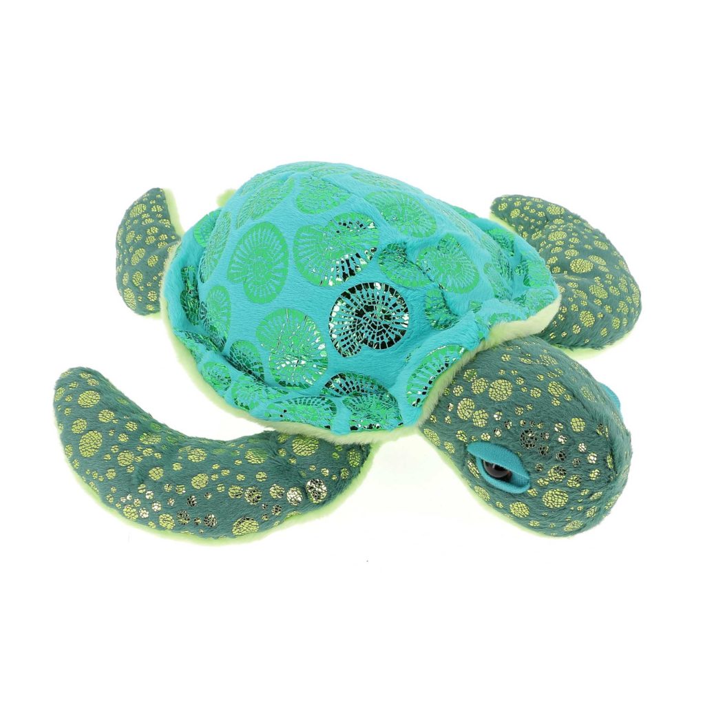 Tortue nautile - Mémoires d'Océans